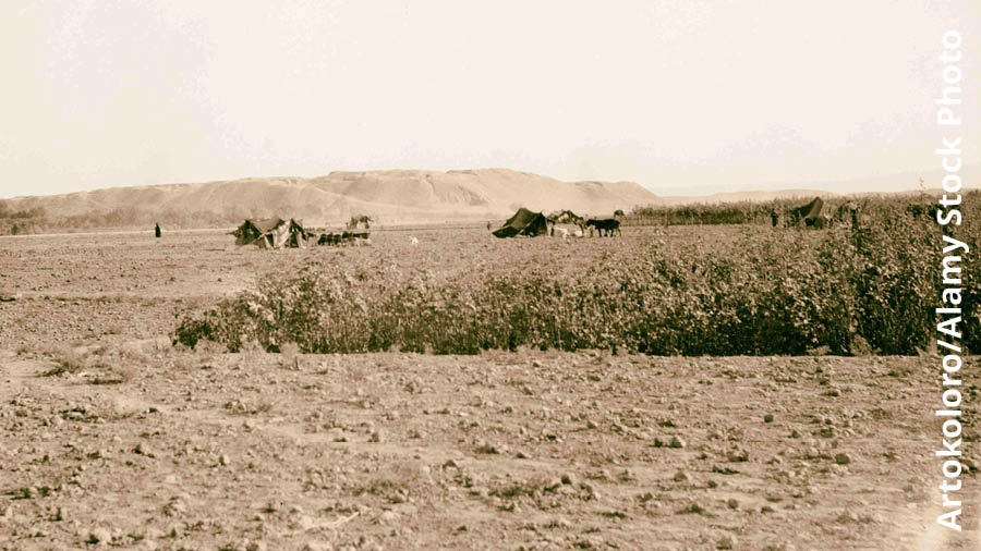 ¿Lo sabía? — BIBLIOTECA EN LÍNEA Watchtower