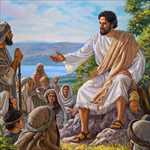 Search — Watchtower ONLINE LIBRARY