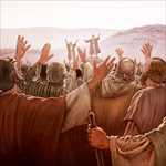 Search — Watchtower ONLINE LIBRARY