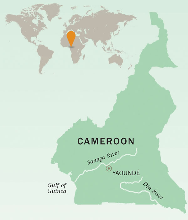 A Visit to Cameroon — Watchtower ONLINE LIBRARY