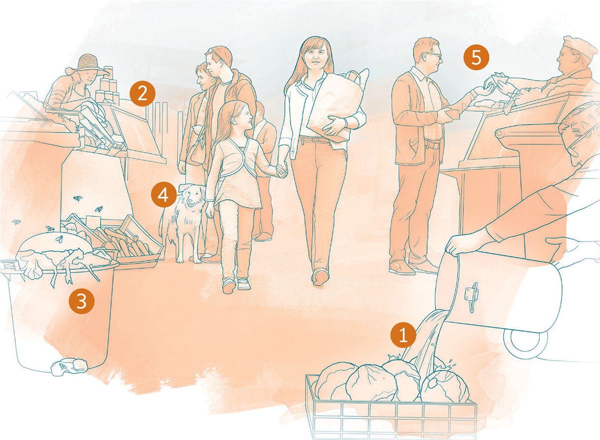 Protect Yourself From Disease — Watchtower ONLINE LIBRARY