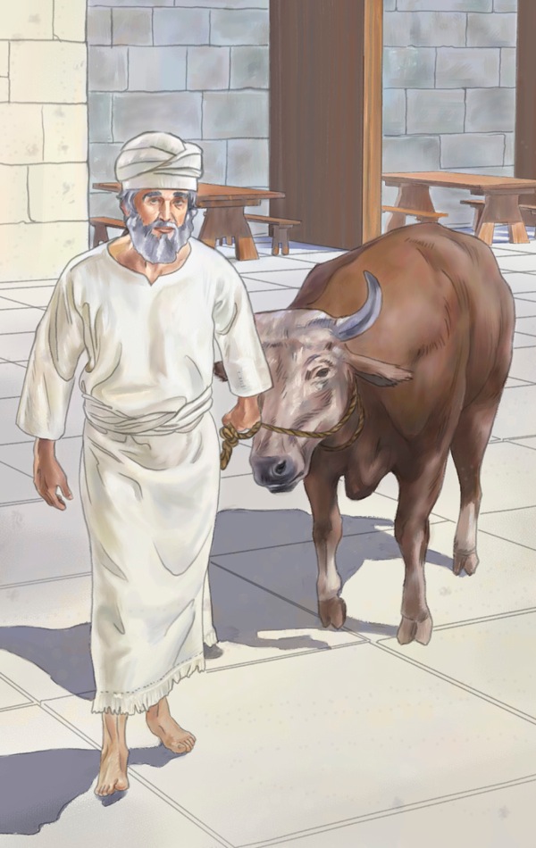 Watchtower ONLINE LIBRARY