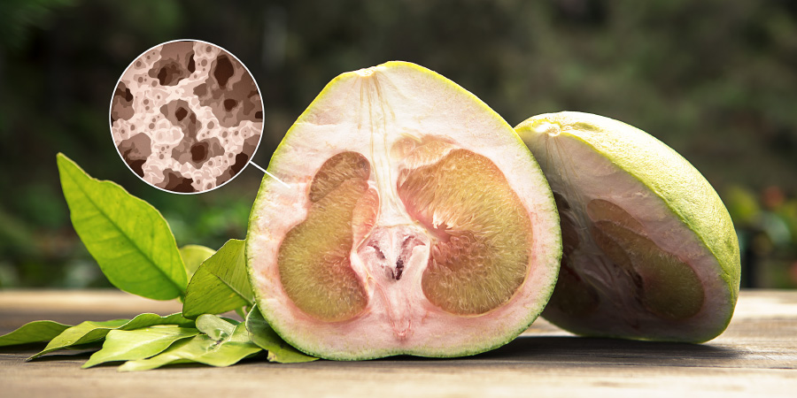The Shock-Absorbent Skin of the Pomelo — Watchtower ONLINE LIBRARY