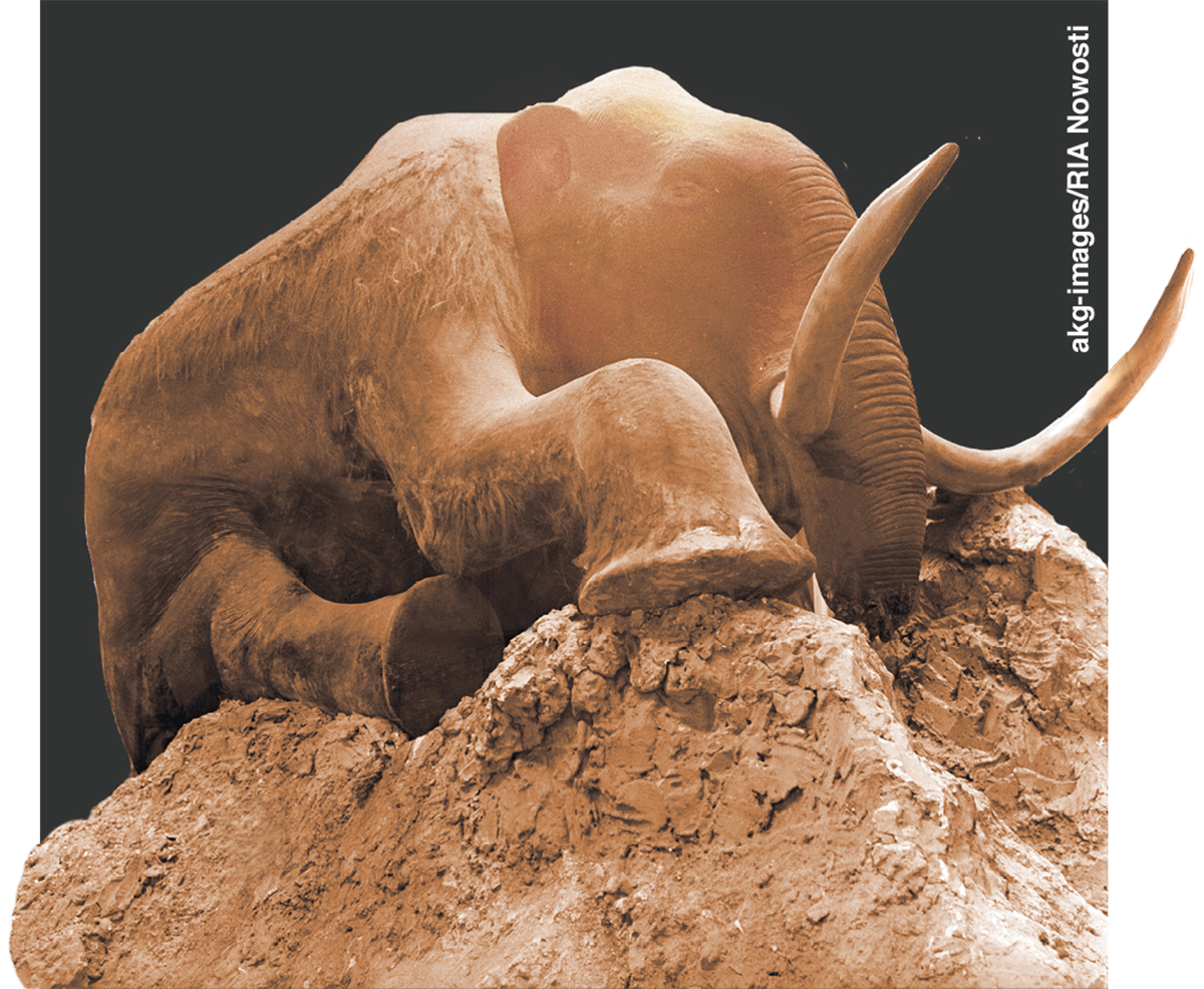 Flood of Noah’s Day — Watchtower ONLINE LIBRARY