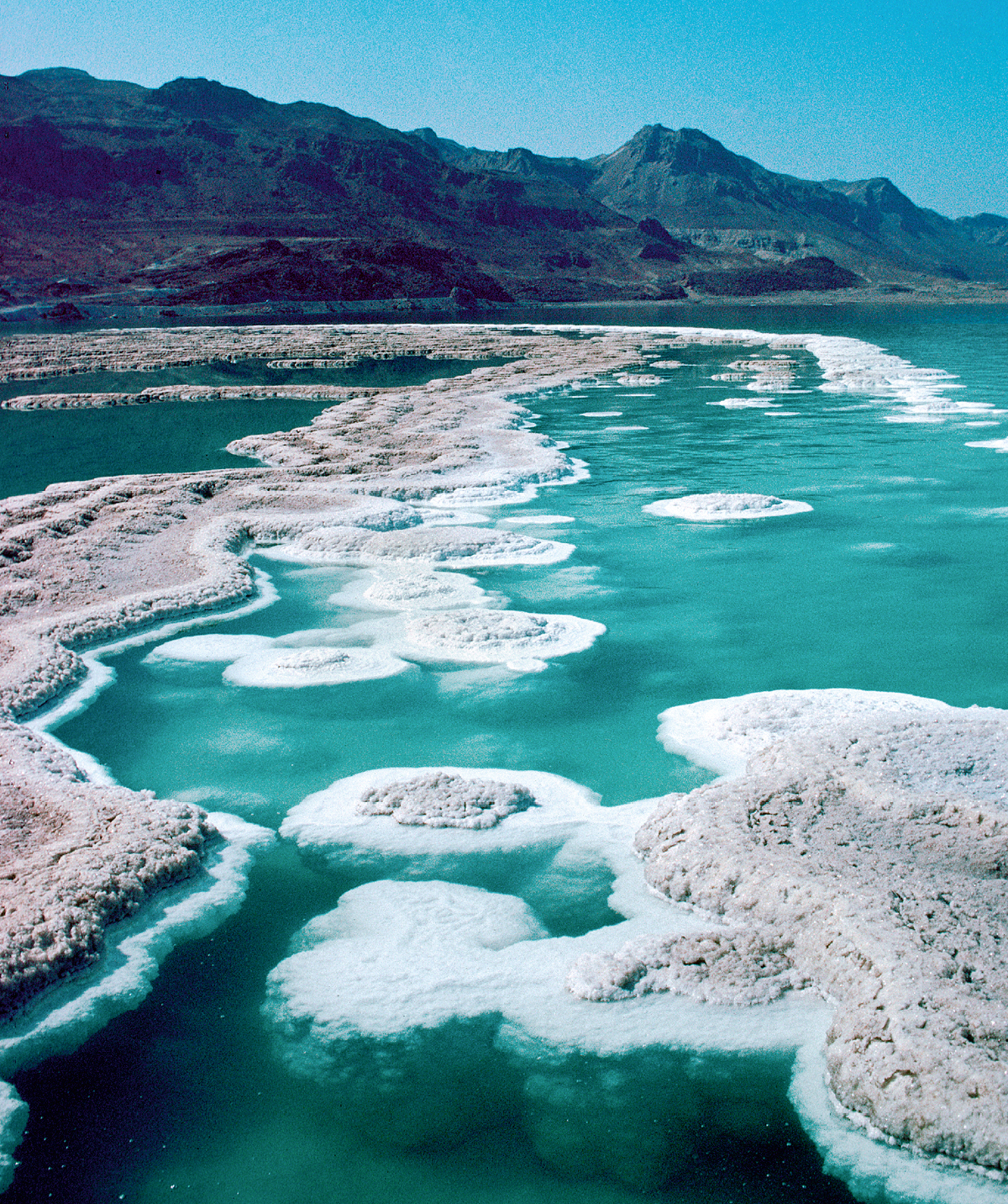 How We Got the Bible — Watchtower ONLINE LIBRARY