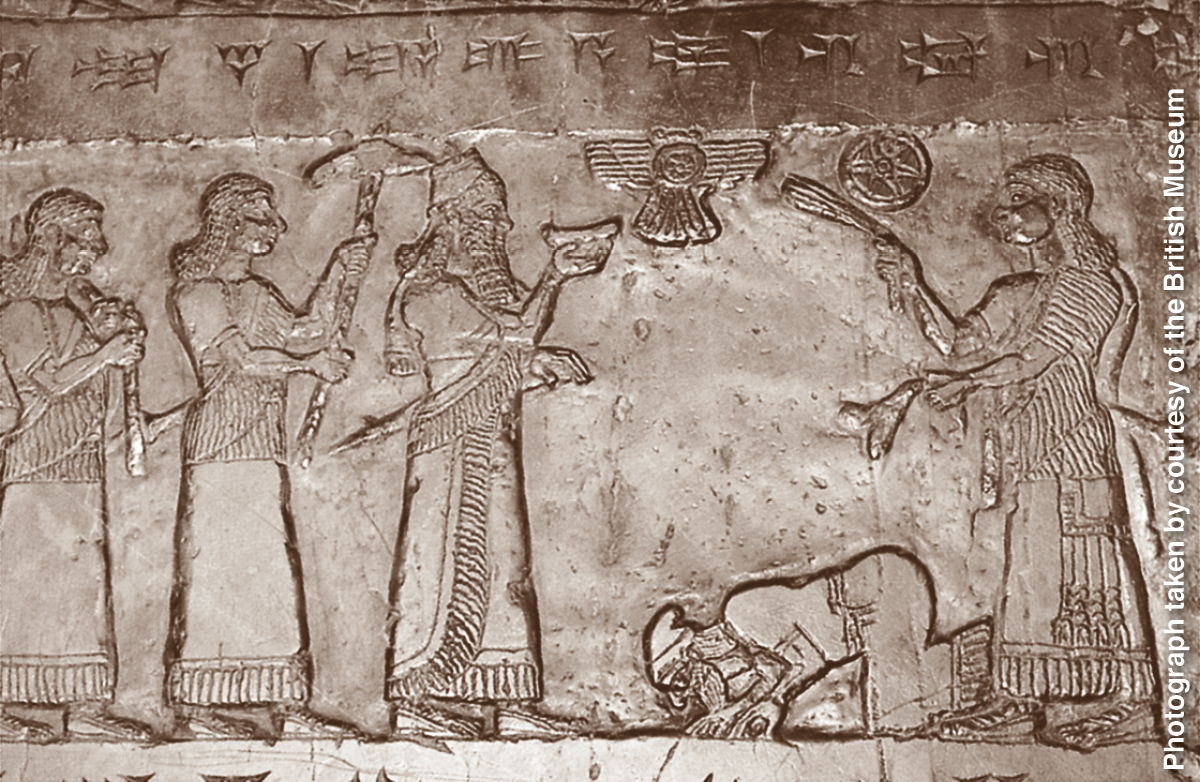 Animals of the Bible — Watchtower ONLINE LIBRARY