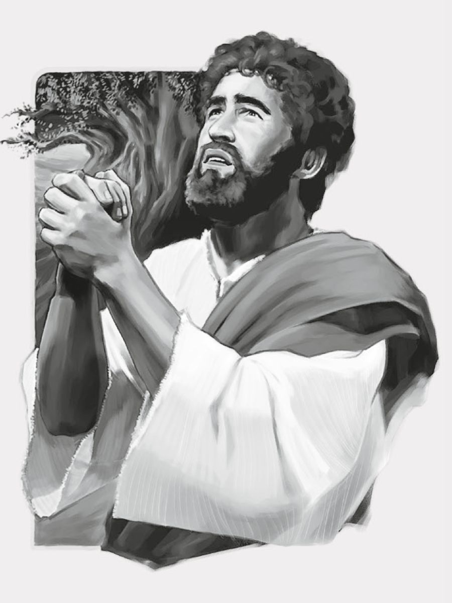 Obedience Protects You — Watchtower ONLINE LIBRARY