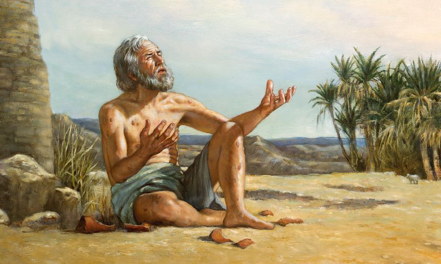 Faithful Job Expresses His Anguish — Watchtower ONLINE LIBRARY