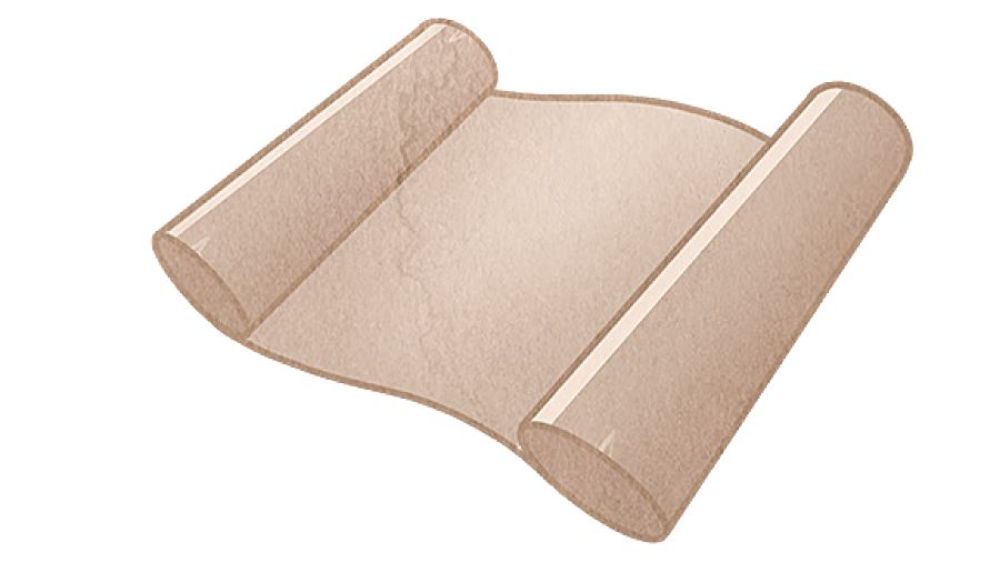 Faithful Worshippers Support Theocratic Arrangements — Watchtower ...