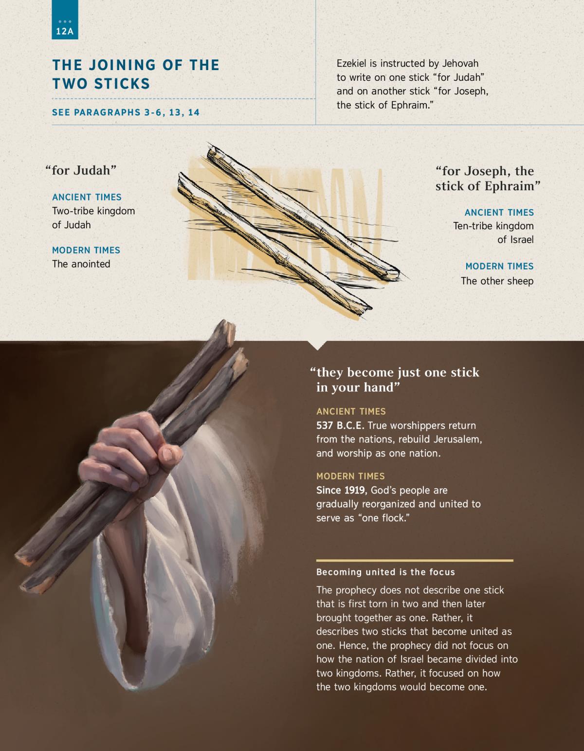 The Joining of the Two Sticks — Watchtower ONLINE LIBRARY