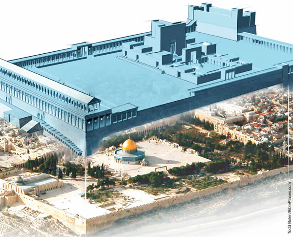 Did You Know? — Watchtower ONLINE LIBRARY