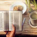 Publicaciones — BIBLIOTECA EN LÍNEA Watchtower