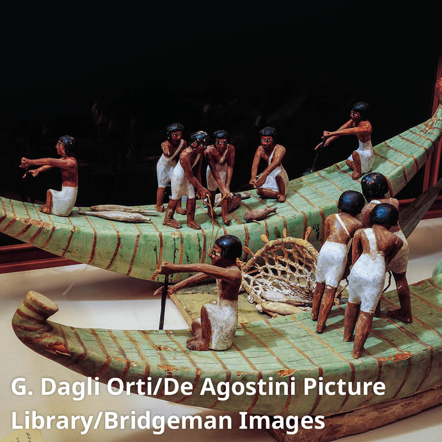 ¿Lo sabía? — BIBLIOTECA EN LÍNEA Watchtower