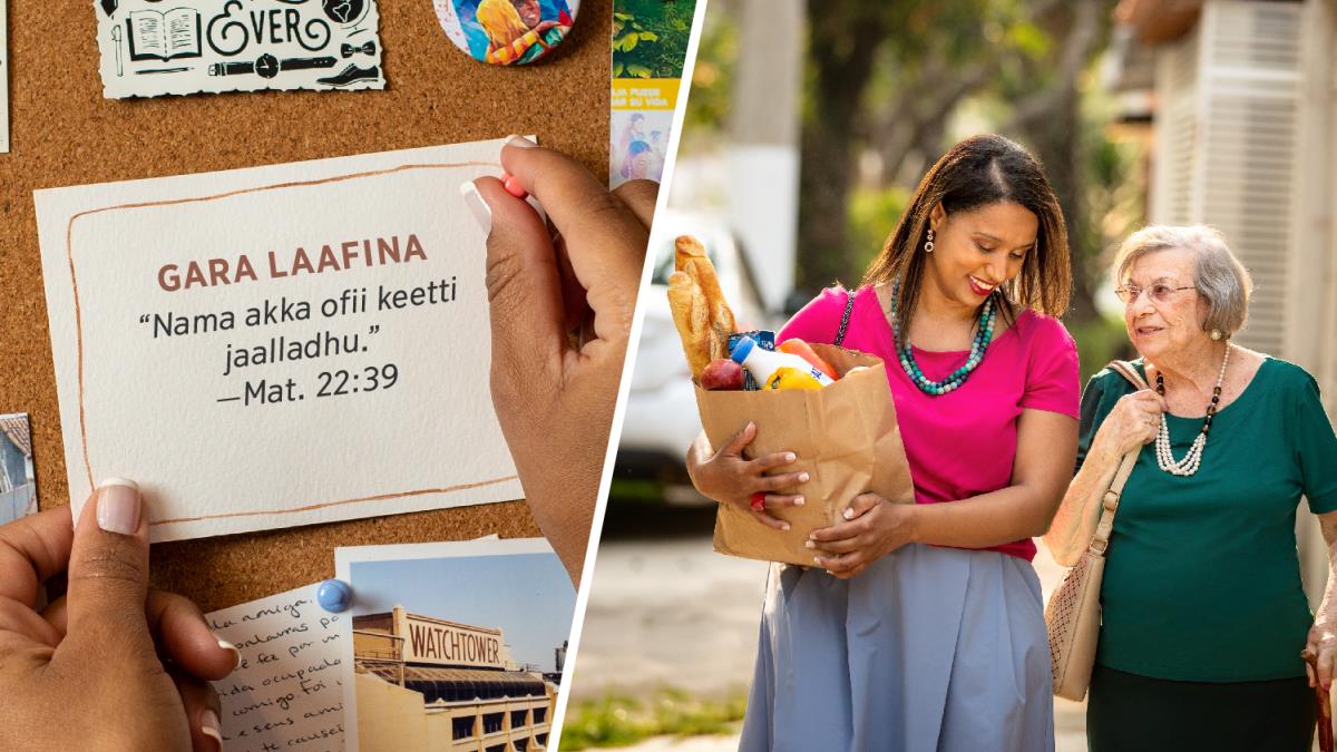 Galma Hafuuraa Baafachuu fi Irra Gaʼuun kan Dandaʼamu Akkamitti ...