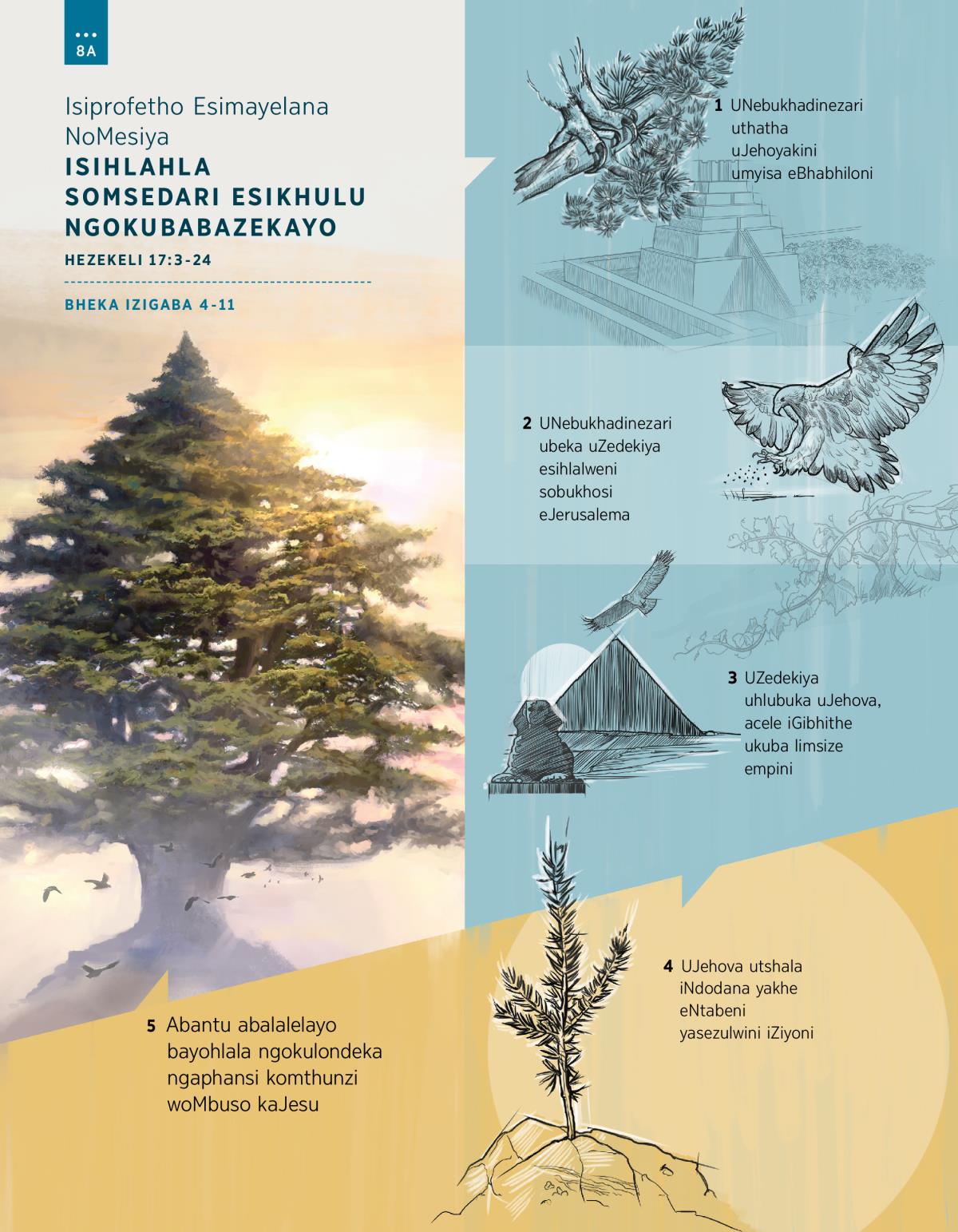 Isiprofetho Esimayelana NoMesiya —Isihlahla Somsedari Esikhulu ...